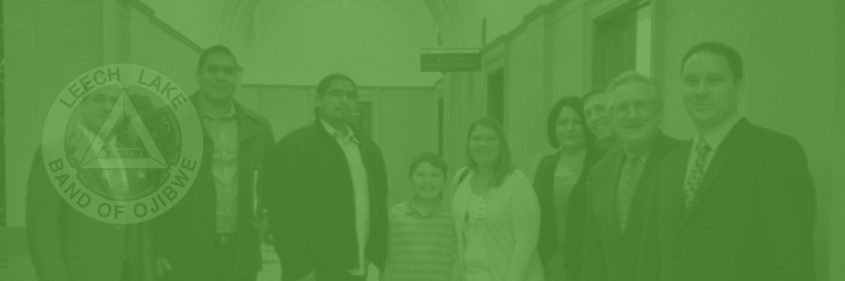 Case Study – LLBO – Synergetic Endeavors